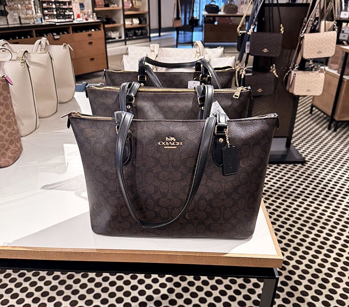 Coach handbags lined up like soldiers—each one a potential companion for countless future compliments and "You paid WHAT?" conversations.