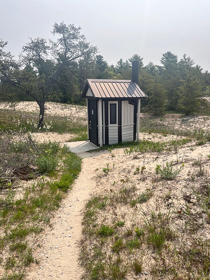 The world's most scenic outhouse? Perhaps. This charming facility proves that even necessities can be picturesque when surrounded by dunes.