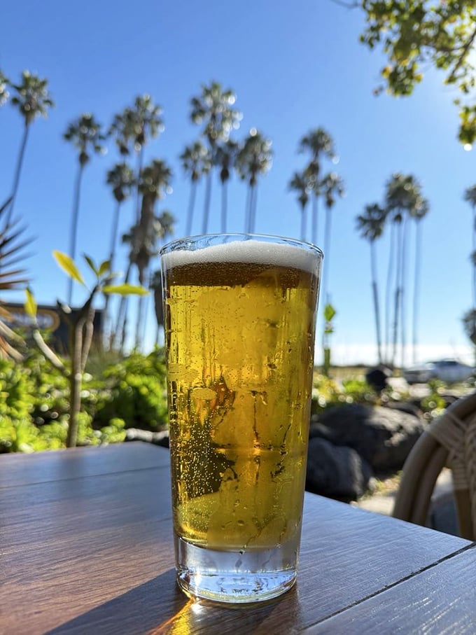A cold beer against the backdrop of Santa Barbara palm trees – nature's way of saying, "You're doing vacation right."