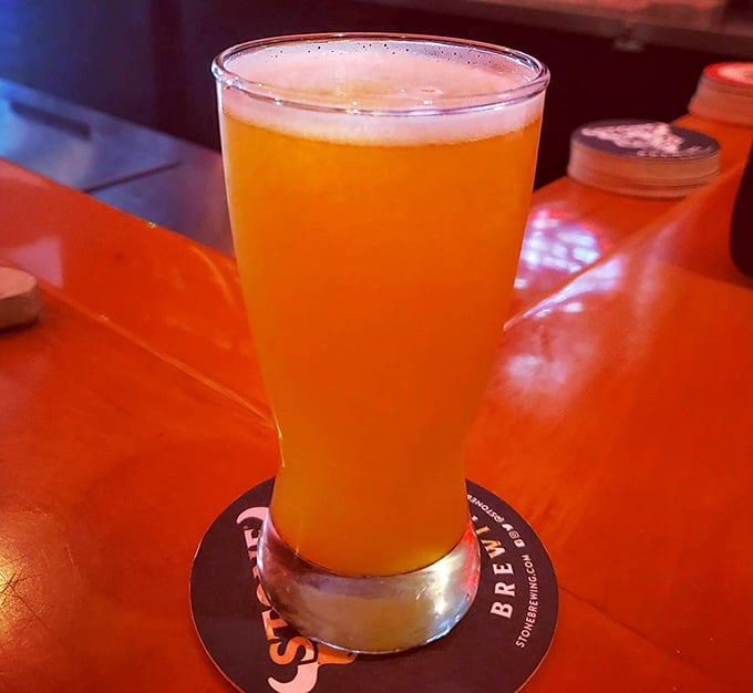 A perfectly poured pint catching the tavern's ambient glow – because sometimes the best companion to great food is a beer with no identity crisis.