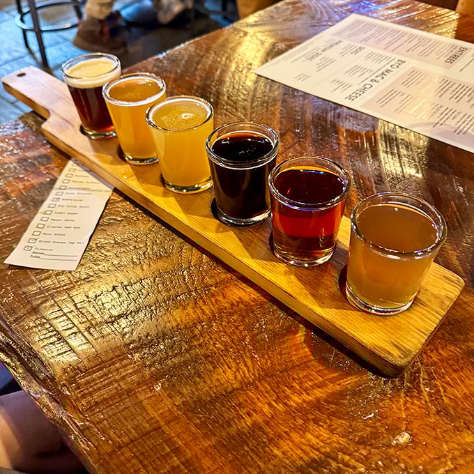 Six liquid personalities lined up like suspects in a delicious crime. Each sip tells a different story about Ohio's brewing heritage.