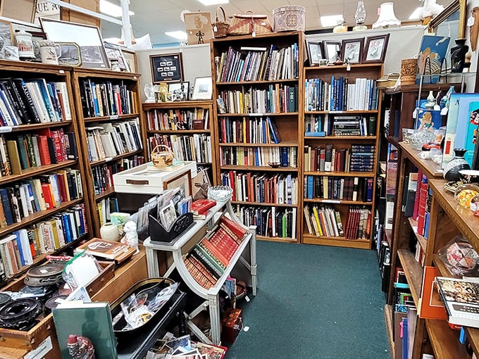 Bibliophiles beware—this literary corner could turn a quick browse into a three-hour expedition through forgotten bestsellers and vintage knowledge.