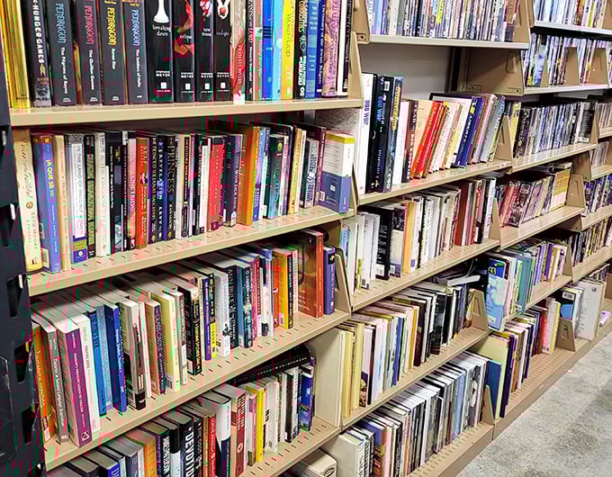 Literary treasures stacked with care—where yesterday's bestsellers and forgotten classics wait patiently for their next reader.
