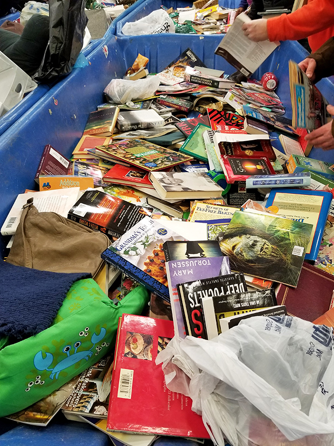 Literary archaeology at its finest – dig through layers of cookbooks, bestsellers, and forgotten gems. That green frog pencil case is just a bonus.