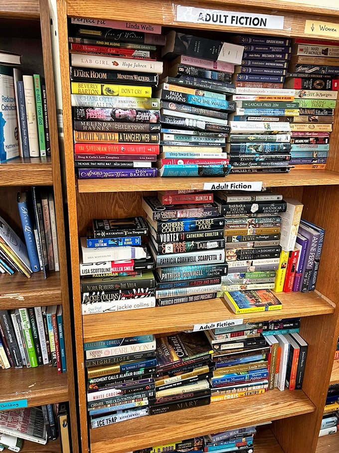 The bookshelf offers literary adventures at pocket-change prices – where bestsellers and hidden gems share equal billing.