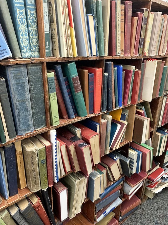 Books arranged not by algorithm but by human hands—spines faded by time but stories still vibrant within those well-worn covers.