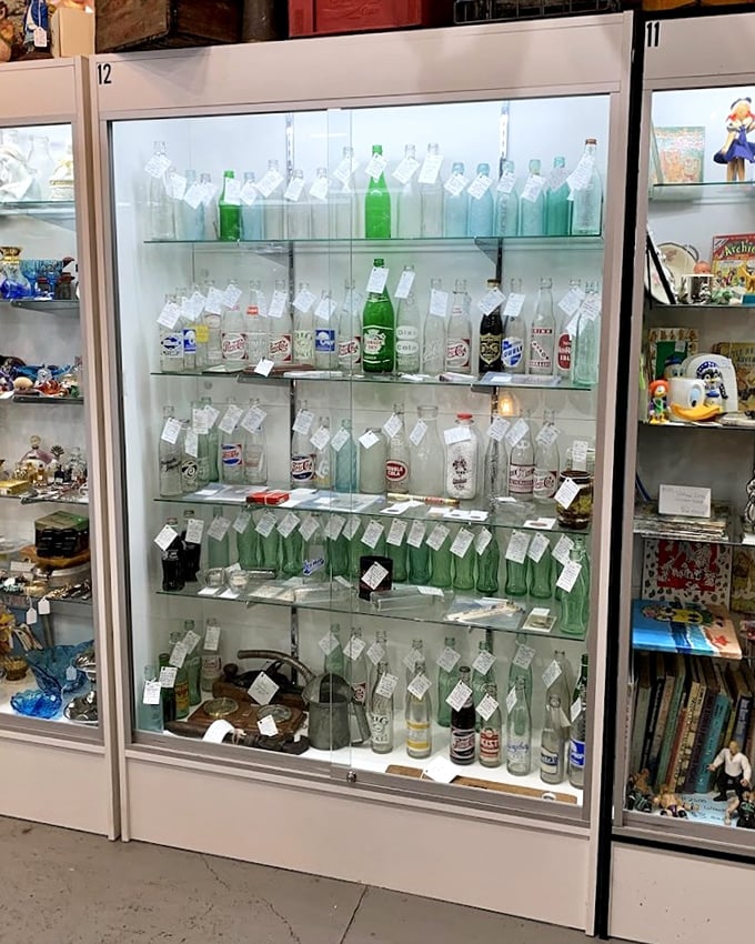 A liquid library of vintage bottles, each one telling stories of soda fountains, corner drugstores, and simpler times.