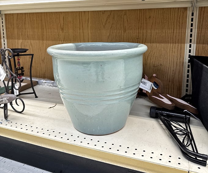 This isn't just a flowerpot—it's the beginning of someone's garden renaissance. For under $10, you too can pretend you have a green thumb. 