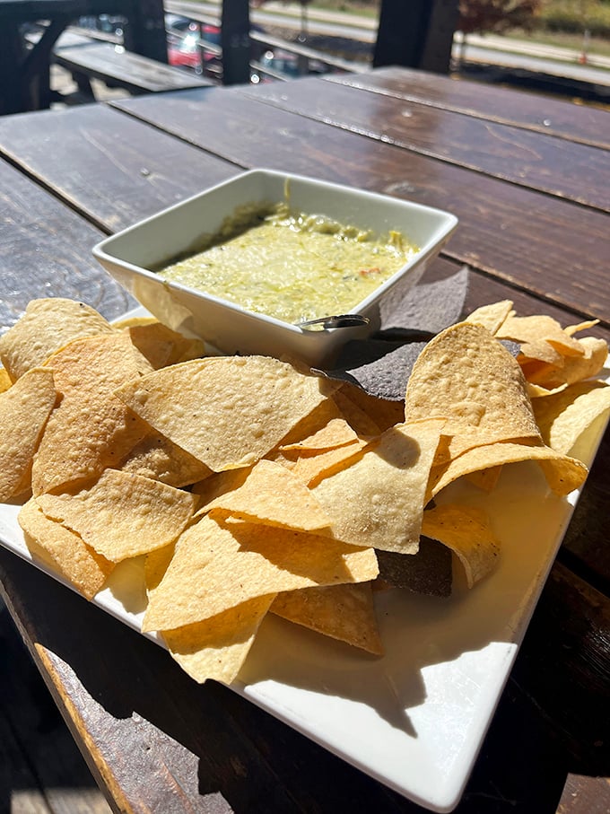 Chips and spinach artichoke dip served in sunshine – the perfect patio companion that disappears faster than you can say "just one more."