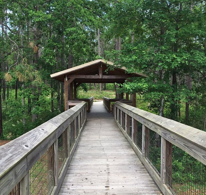 Not all bridges need to cross rivers – this shaded wooden passage offers respite from Florida's famous "instant sunburn" sunshine.