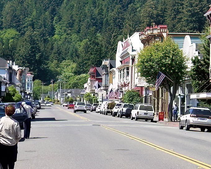 Downtown Ferndale isn't just pretty—it's practical. These buildings have served the community for over a century while maintaining their Victorian splendor.