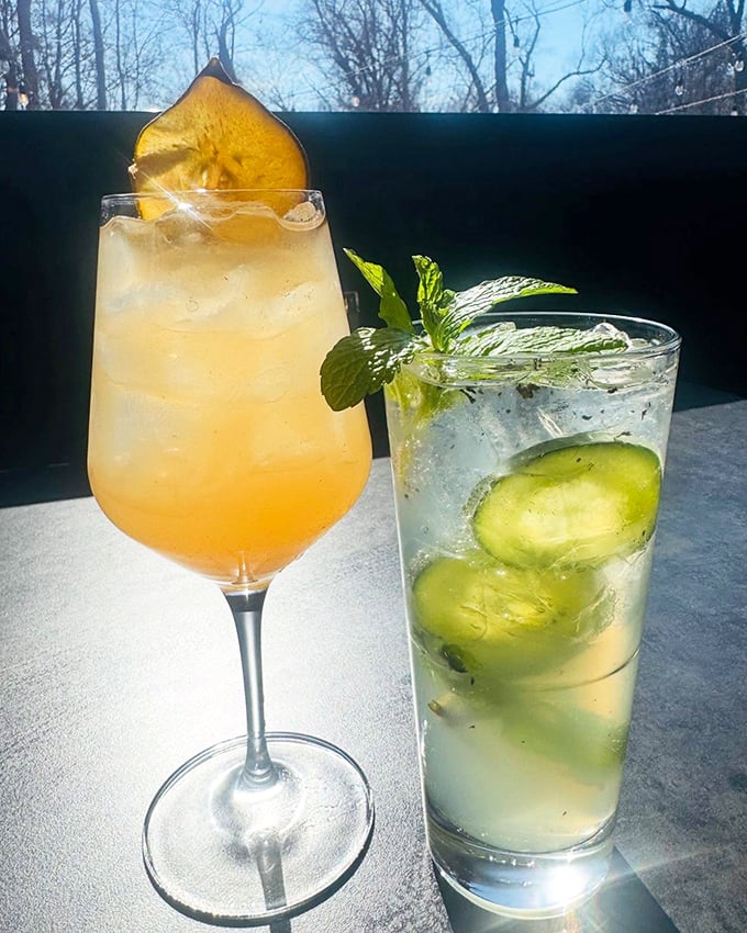 Cocktails that double as works of art—where fresh fruit, herbs, and premium spirits come together in glasses that practically demand a toast before sipping.