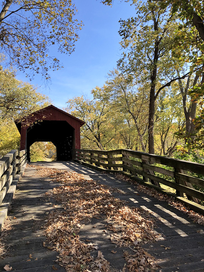 Autumn leaves scatter across weathered planks like nature's confetti, celebrating another season beneath the bridge's watchful gaze.