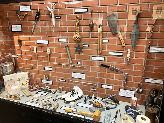 Improvised weapons display that would make MacGyver nervous—everyday items transformed into deadly tools by desperate hands.