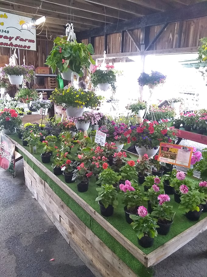 A garden center that blooms with possibility. These hanging plants and colorful flowers transform any Pennsylvania porch into an oasis.