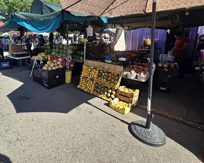 Farm-to-flea-market freshness! These vibrant fruits and vegetables bring a healthy option to a place otherwise dangerous to both wallet and waistline.