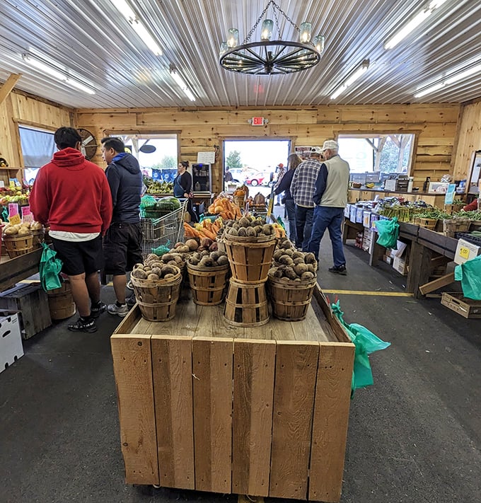 Farm-fresh produce that actually deserves the name. These potatoes probably still have Pennsylvania soil clinging to them—exactly as nature intended.