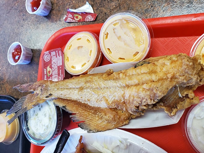 This fried fish isn't just dinner; it's a golden-crusted reminder that simple food done right is culinary poetry.