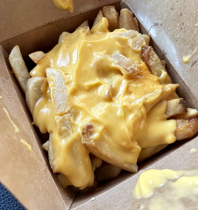 Cheese fries that don't apologize for what they are: a perfect vehicle for that liquid gold topping that haunts your dreams.