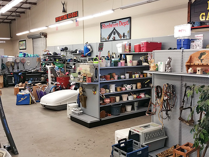 From garden gnomes to golf clubs – because your hobbies deserve affordable second chances.