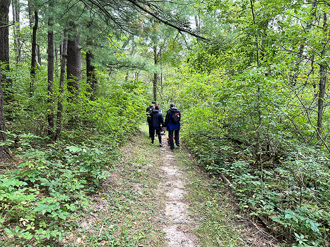 Fellow explorers disappear into the green embrace, reminding us that sometimes the best discoveries happen on foot.