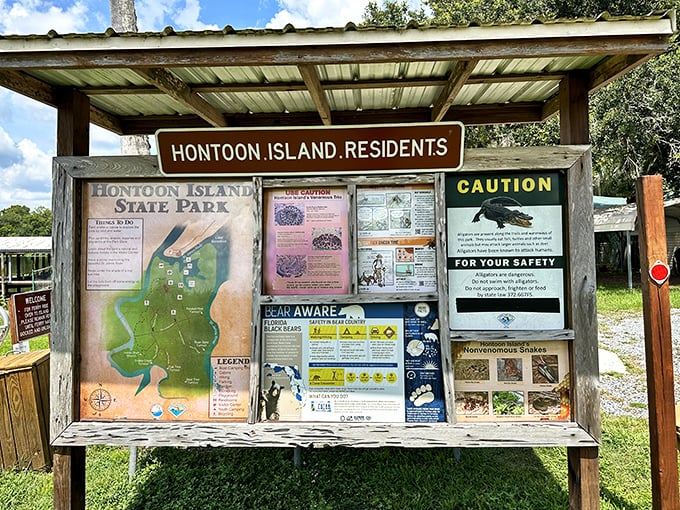 The park's information board—nature's version of Google, just without the ads or the need for Wi-Fi.