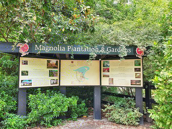 Informational signage helps visitors navigate the sprawling grounds, turning a beautiful wander into an educational adventure.