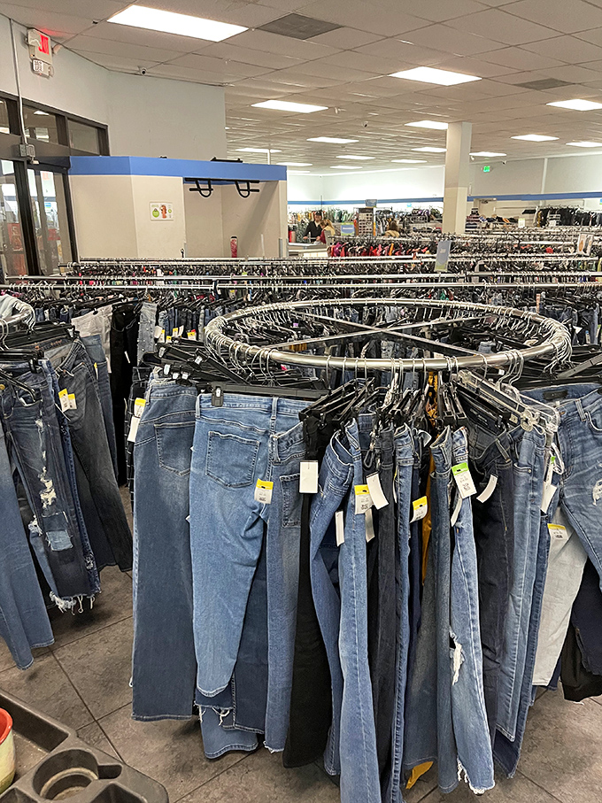 Denim heaven in circular form. The jeans section is like a blue jean archaeological dig—each layer revealing another era of fashion history.