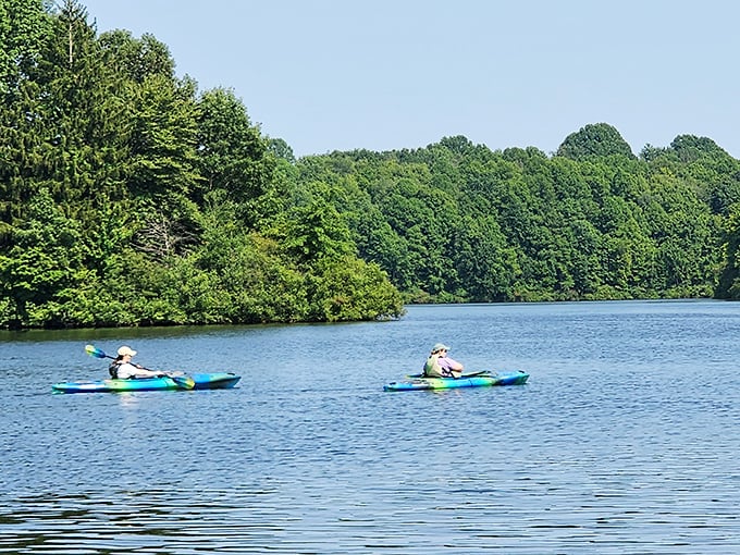 Peaceful kayaking on Hudson's waters—where the only traffic is an occasional turtle and the only honking comes from geese.