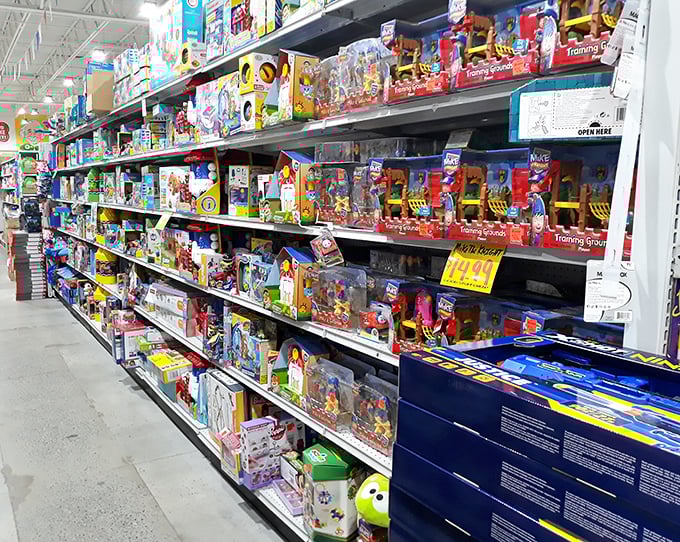 Toy aisles that transform adults into nostalgic time-travelers while kids experience the pure joy of choice overload. Parental budgets remain mysteriously intact.