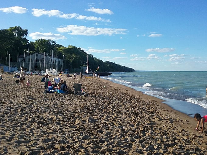Summer in Illinois, distilled to its essence—families claiming their sandy real estate while sailboats dot the horizon. No filter needed when nature provides this perfect backdrop.