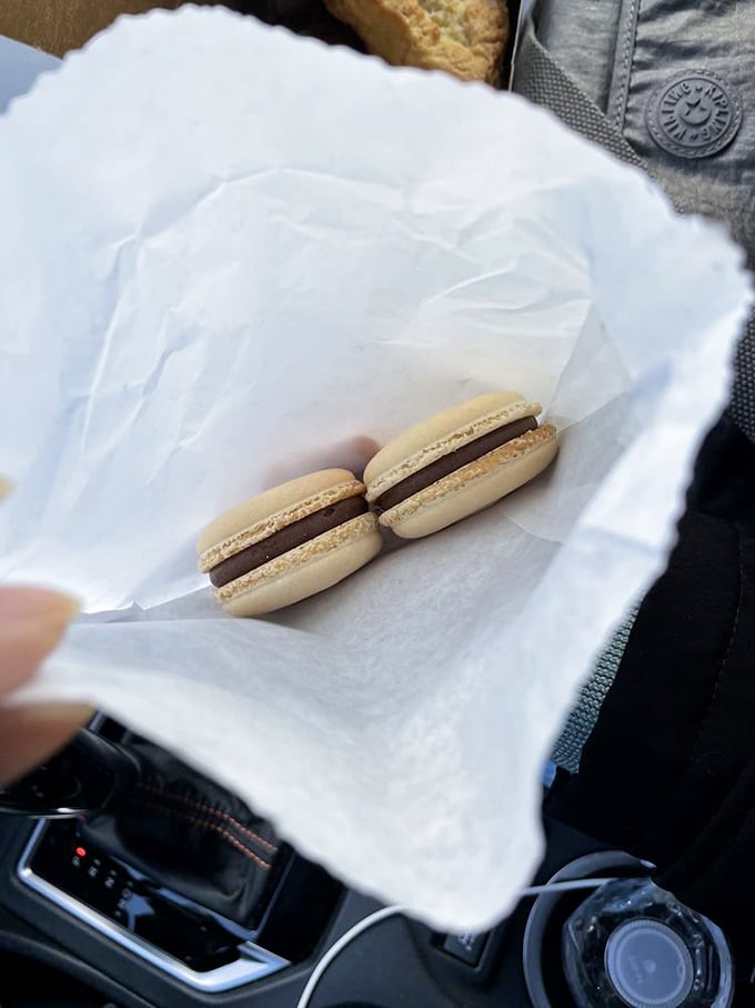 Two chocolate macarons nestled in tissue paper like precious jewels—the perfect dashboard dining for when you simply can't wait until you get home.