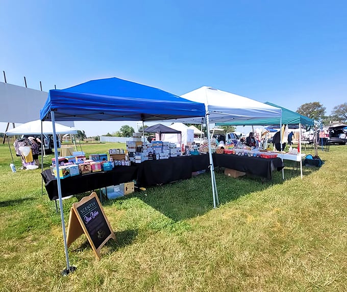 Not just movies—the grounds transform for special events, creating a community marketplace where local vendors share their wares under Ohio skies.