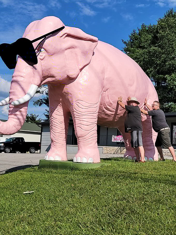 Some attractions inspire such enthusiasm that visitors can't help but engage with them physically – Ellie brings out the playful side in everyone.
