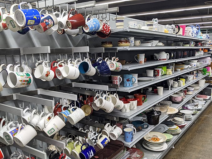 Mug heaven for coffee enthusiasts and souvenir collectors alike. Each handle-adorned vessel tells a story – from forgotten vacations to abandoned office jobs.