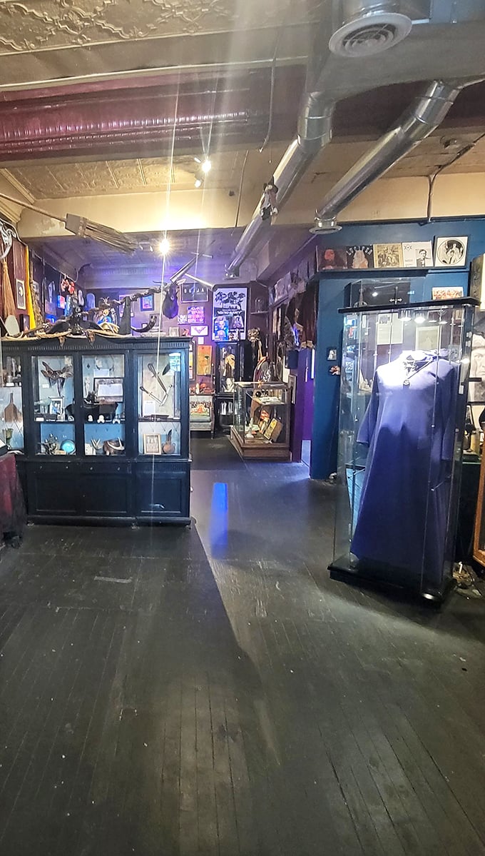 Display cases filled with mysterious tools of the magical trade line the walkways. That purple ceremonial robe isn't something you'd wear to the grocery store—unless you're feeling particularly bold.