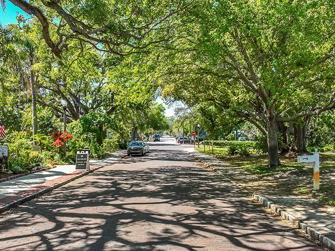 Streets canopied by ancient oaks create natural tunnels of dappled sunlight – nature's air conditioning in a state that definitely needs it.
