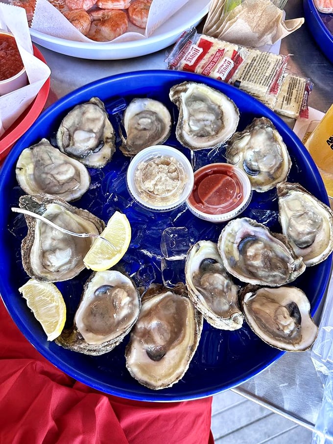 Oysters arranged like briny jewels on a blue throne. The ocean's perfect appetizer, requiring nothing more than a squeeze of lemon.