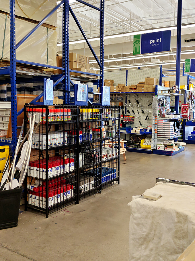 Paint supplies organized like a rainbow, ready to transform any room into your personal masterpiece.