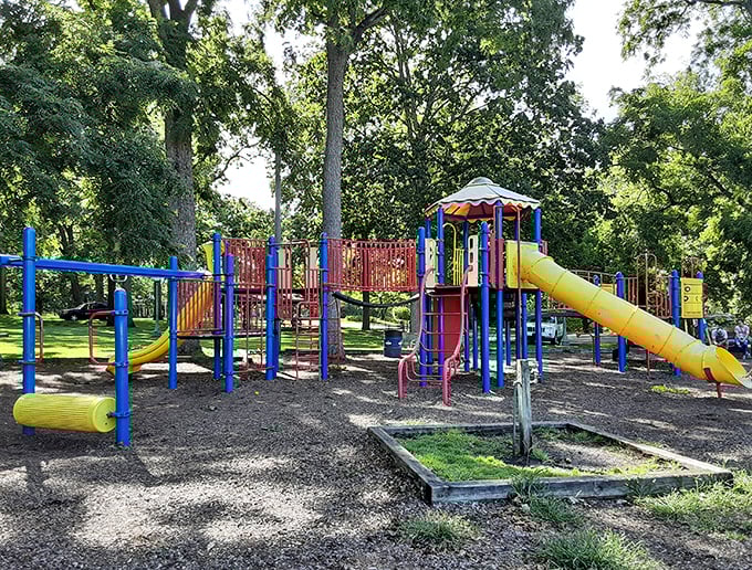Playgrounds and parks provide family entertainment without breaking the bank—where children's laughter costs nothing and memories are priceless.