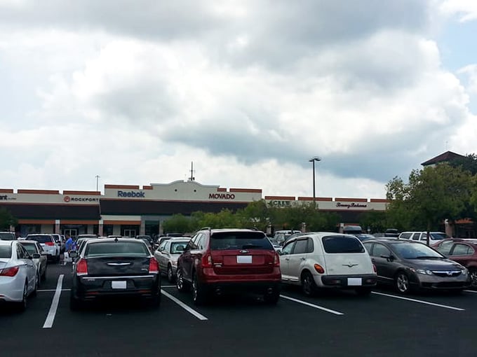 A sea of vehicles hints at the treasure trove within – each car representing someone's quest for the perfect deal.