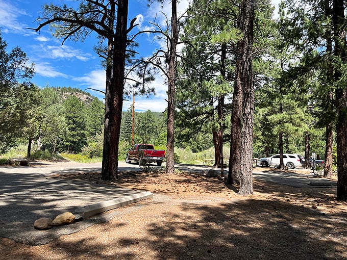 Not all five-star accommodations have room service. This pine-scented parking area offers something better: front-row seats to nature's greatest show.