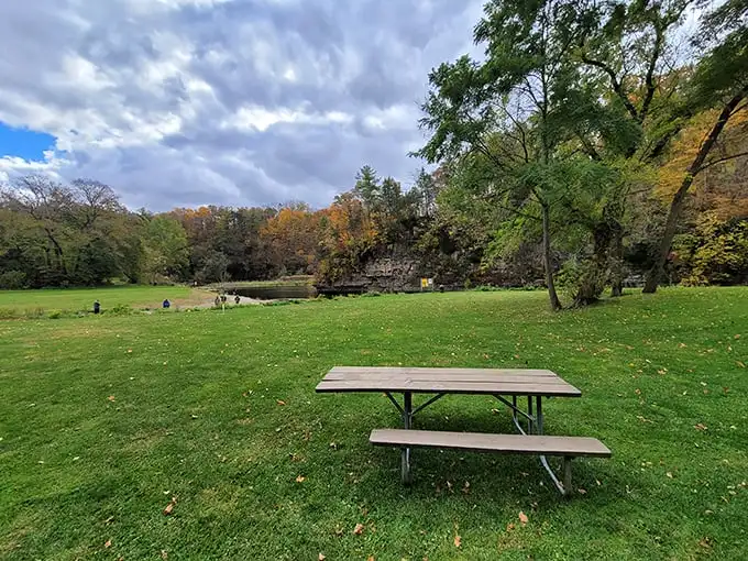 A picnic table with million-dollar canyon views. The best lunch reservation in Jo Daviess County doesn't require a phone call or credit card.