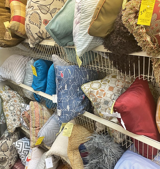 The pillow section: where interior decorating dreams and budget realities have a beautiful reunion. That blue geometric one is calling my name.