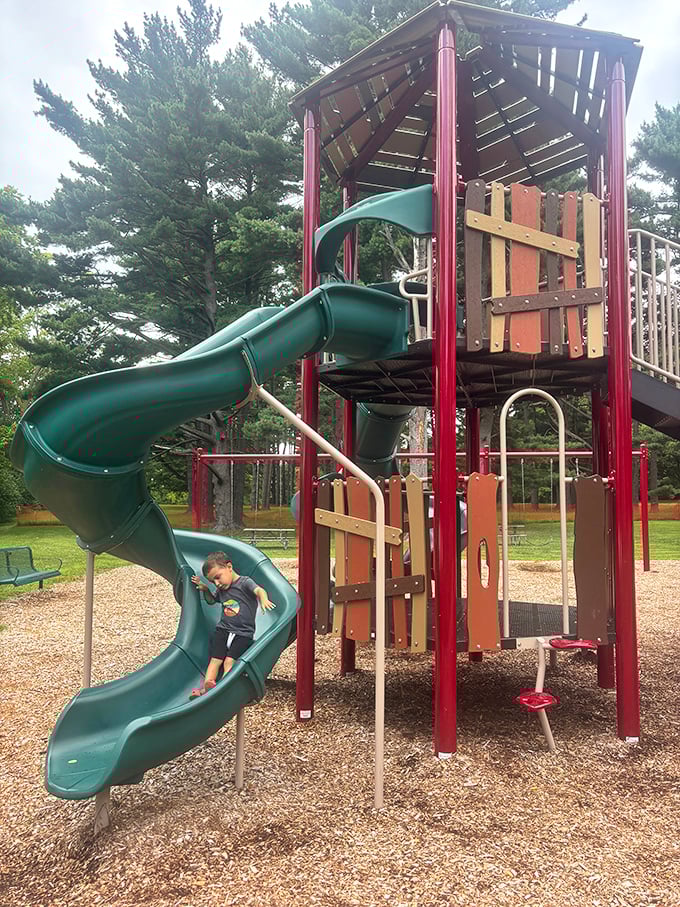 Childhood joy engineered to perfection. This playground nestled among towering pines proves fun doesn't need batteries or Wi-Fi.