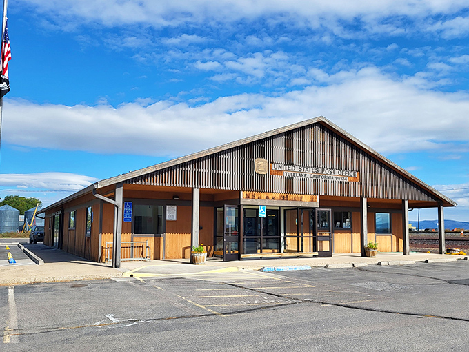 The post office – where mail still matters and people actually know your name instead of just your Amazon delivery preferences.