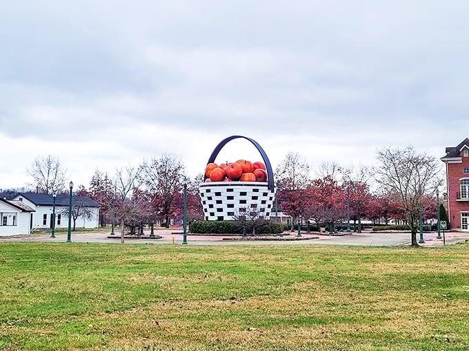 After a rainy day, the basket seems to glow against the gray sky, a cheerful landmark that refuses to be dampened by mere weather.