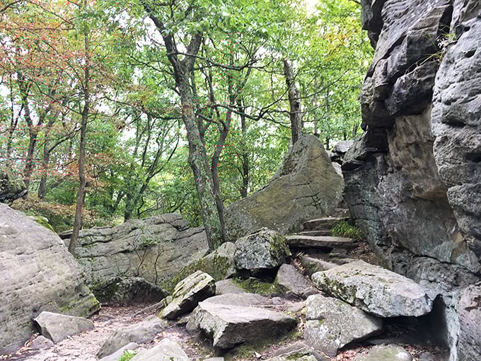 Nature's staircase leading to… more nature. These ancient rock formations have been waiting millions of years for your hiking selfie.