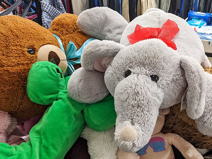 These cuddly companions are ready for their second act, bringing comfort and joy to new families.