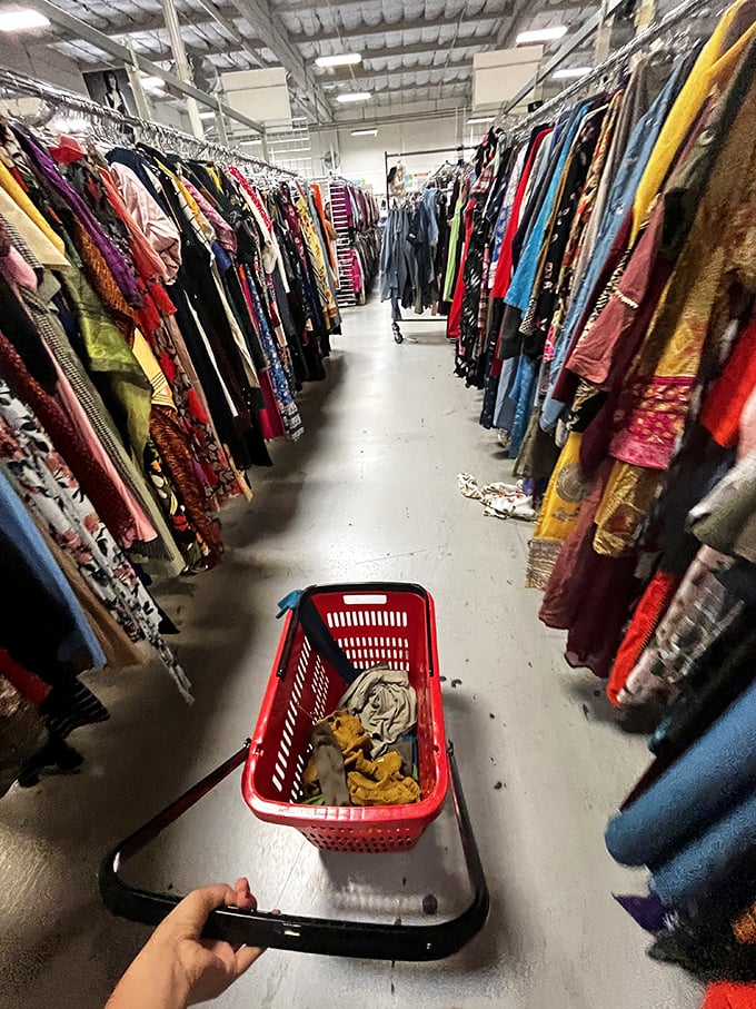 The thrill of the hunt captured in one aisle. Those red shopping baskets quickly become too small for ambition.